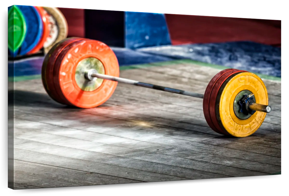 Ebern Designs Sireci Colorful Barbell Plates | Wayfair