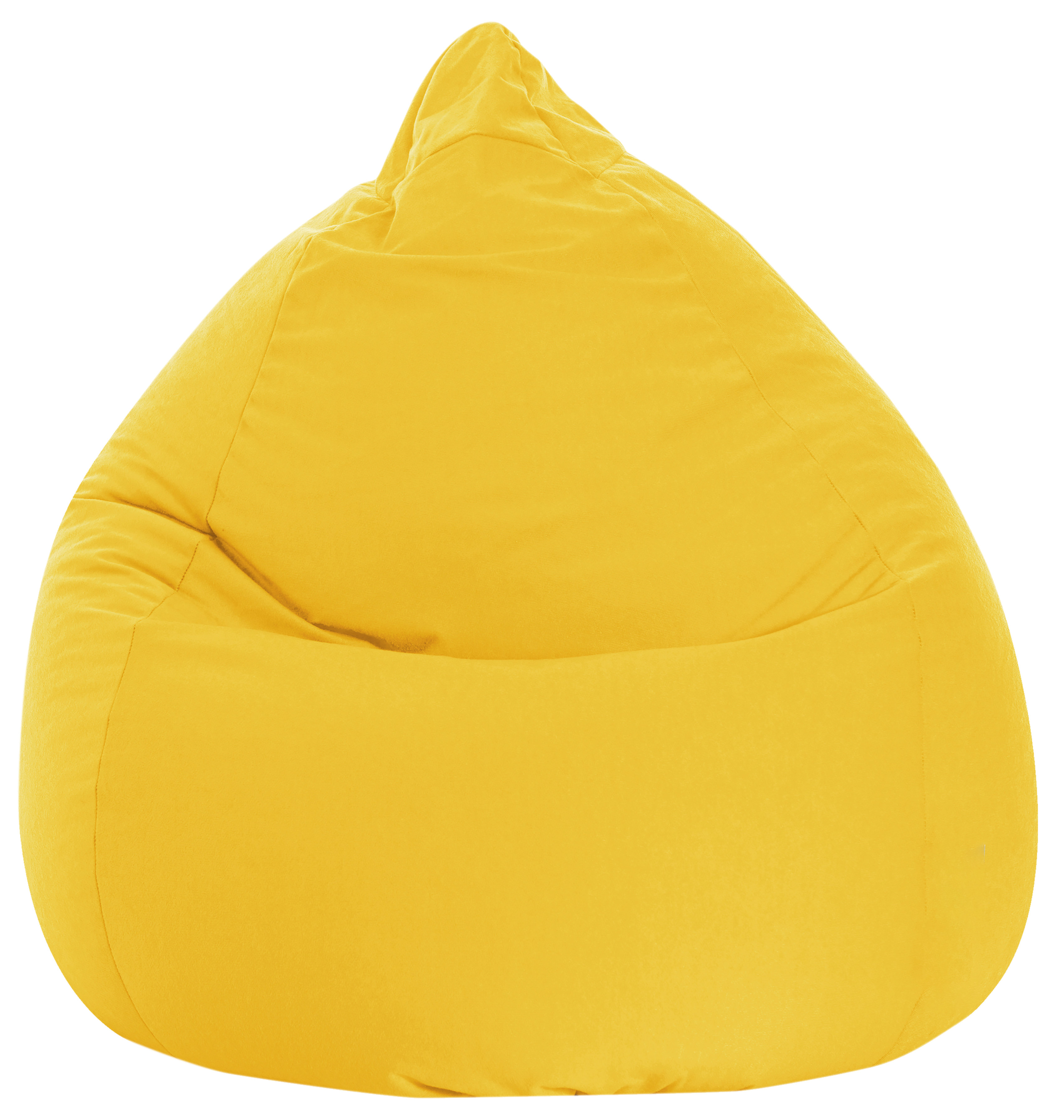 Trule Easy Standard Classic Bean Bag & Reviews | Wayfair