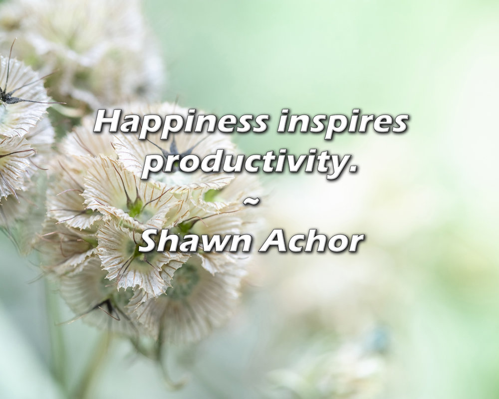 Latitude Run® Shawn Achor Quote: Happiness inspires productivity. | Wayfair