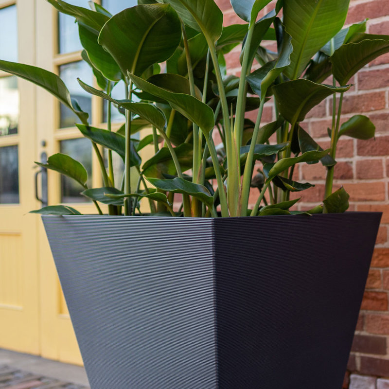 Veradek Pro Series Linear Thirty Planter & Reviews | AllModern