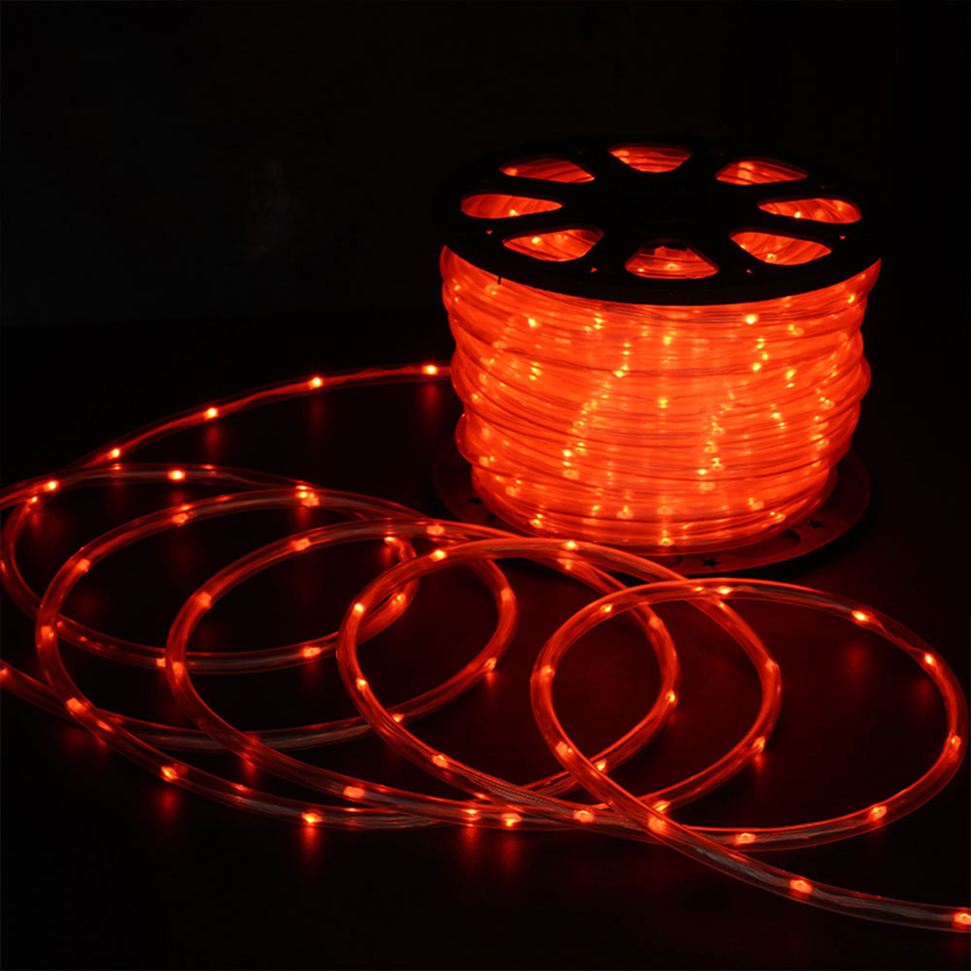 The Holiday Aisle® Led Rope Lights,Waterproof Indoor Outdoor Party ...