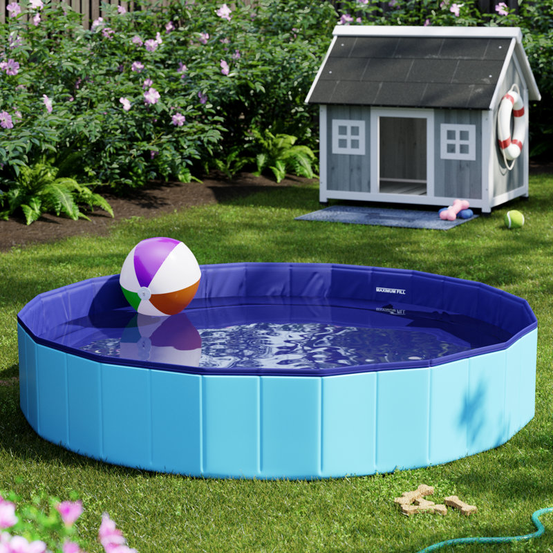 Yaheetech Pet Swimming Pool PVC Bathtub for Dogs/Cats & Reviews | Wayfair