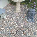 Hi-Line Gift Ltd. REGIUS BALL PYTHON STATUE & Reviews | Wayfair