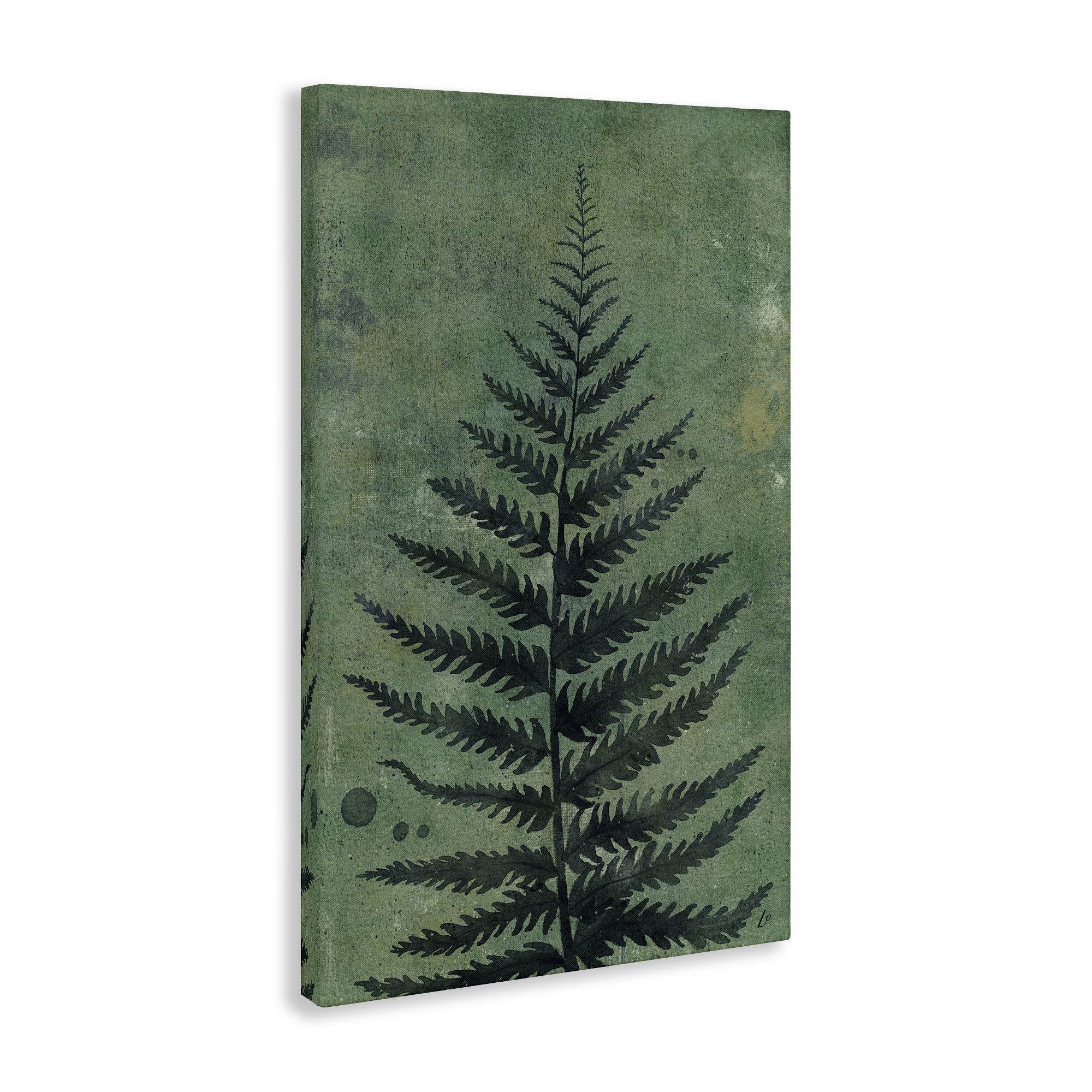 August Grove® Rustic Fern Impression Canvas Wall Art by Lydia Orange br ...