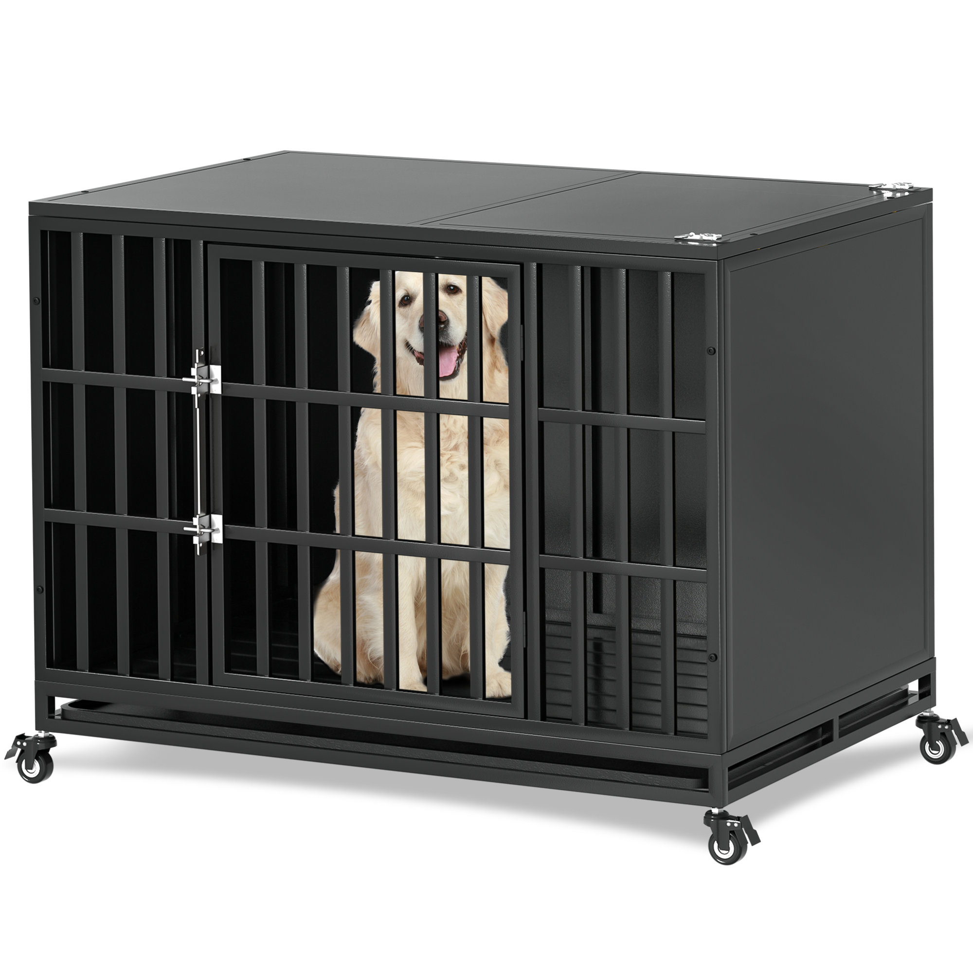 Tucker Murphy Pet™ Dornisha Heavy Duty Dog Crate with Self-Locking ...