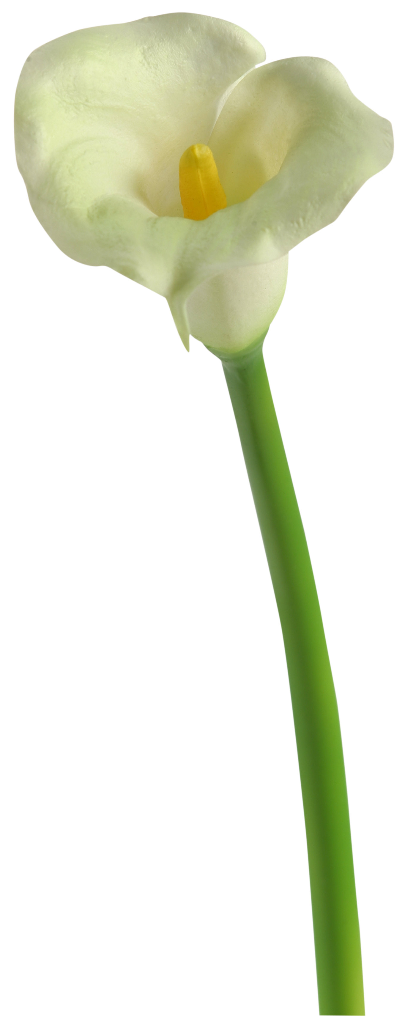 Birch Lane™ Small Calla Lily Stem | Birch Lane
