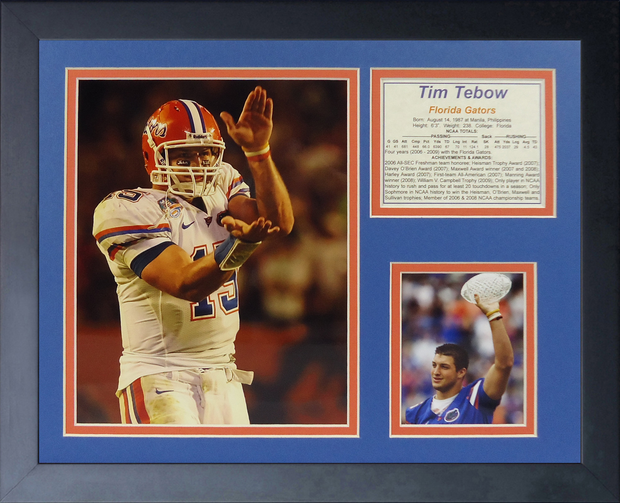 Legends Never Die Tim Tebow - Gators Chomp Framed Memorabilia - Wayfair ...