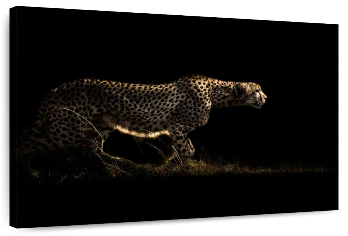 Ebern Designs Crowle Leopard Ambush | Wayfair