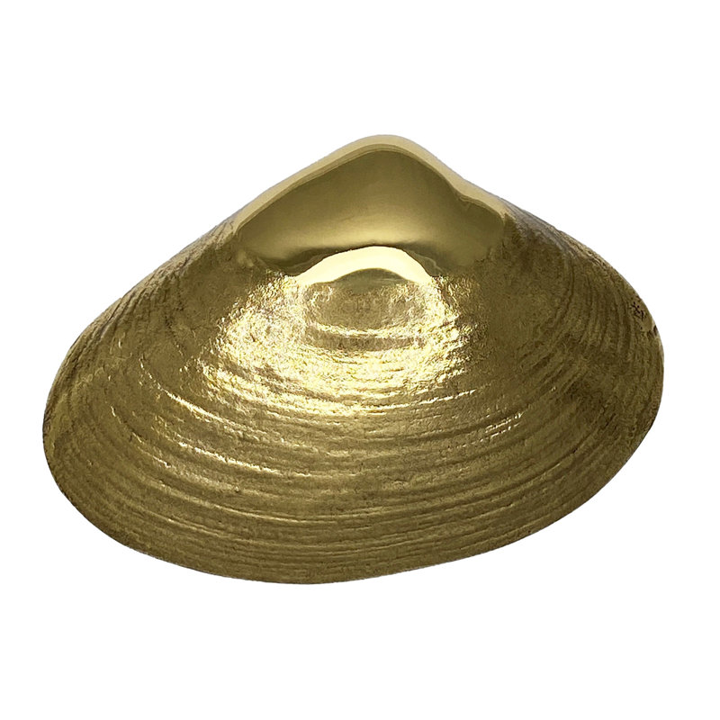 Michael Healy Surf Clam Door Knocker | Wayfair