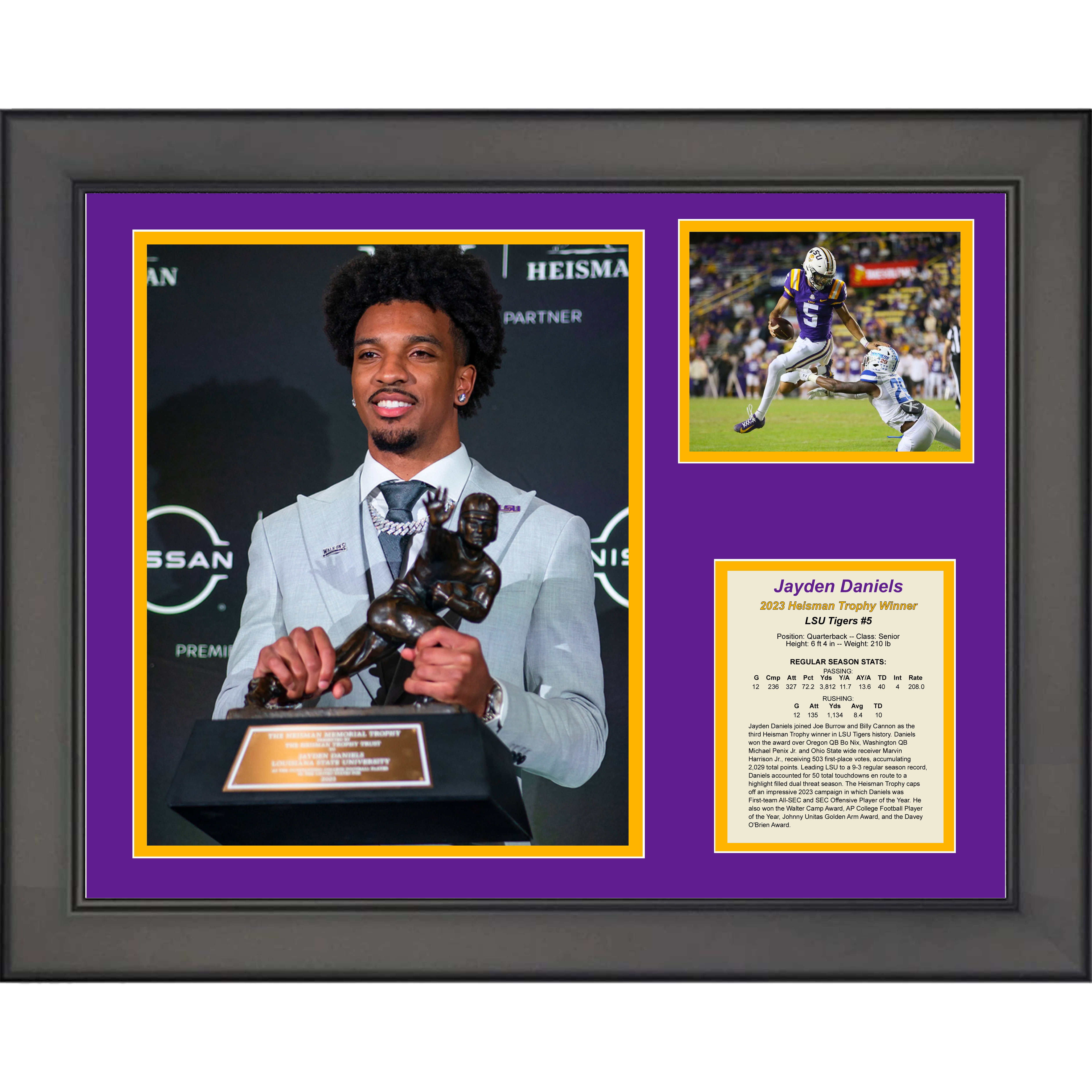 HOFSM.com Hall of Fame Sports Memorabilia Framed Jayden Daniels LSU ...