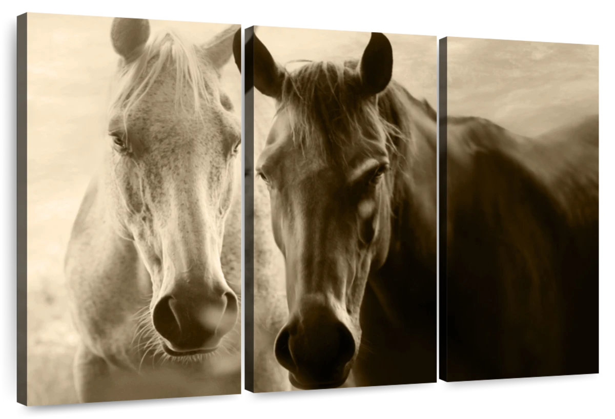 Ebern Designs Brampt Sepia Horses | Wayfair