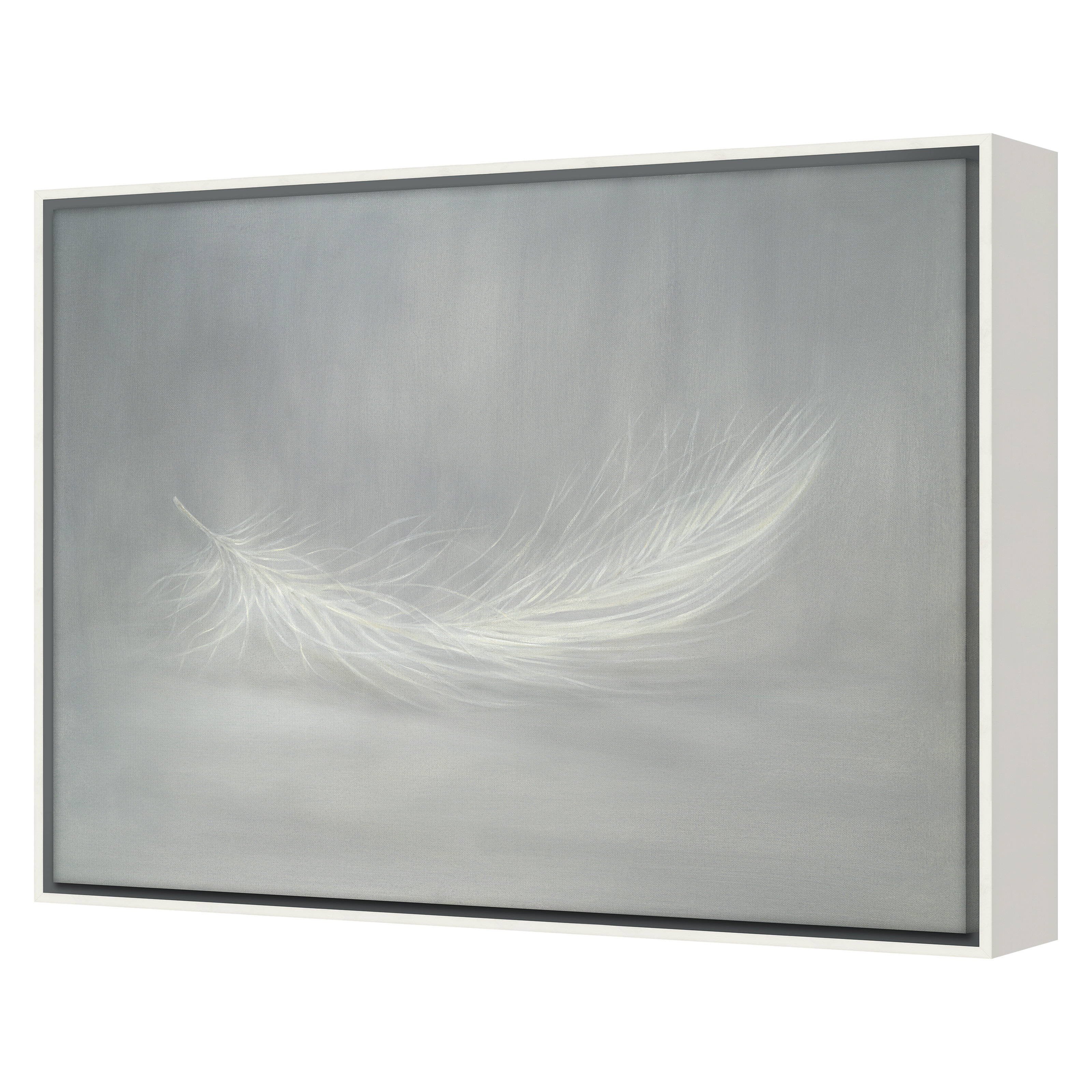 Grand Image Home " Small White Feather " by Bigsby, Bella | Wayfair