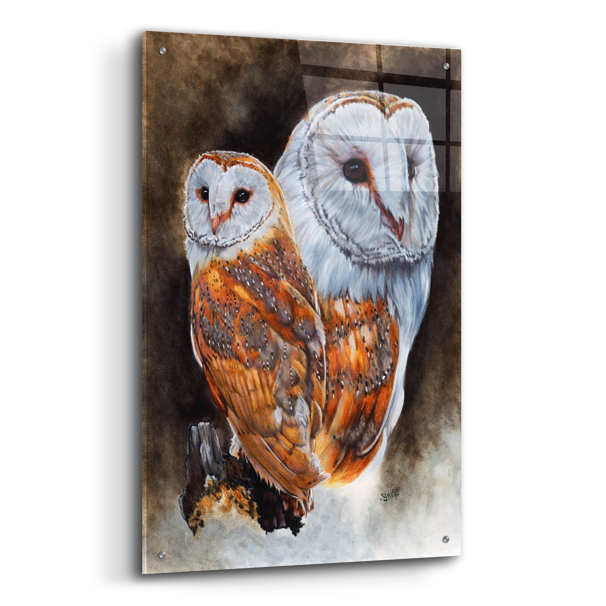 Millwood Pines 'Lustrous' By Barbara Keith, Acrylic Glass Wall Art ...