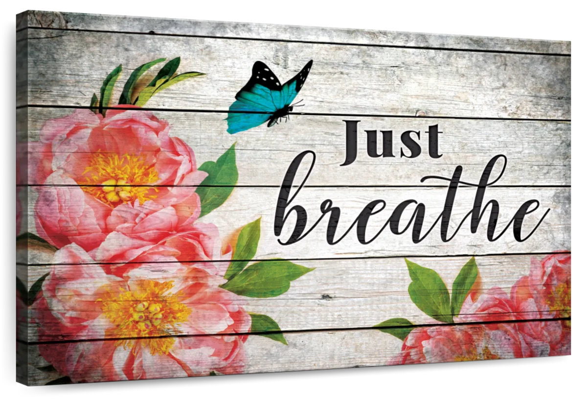 Ebern Designs Tergel Just Breathe Zen VII | Wayfair