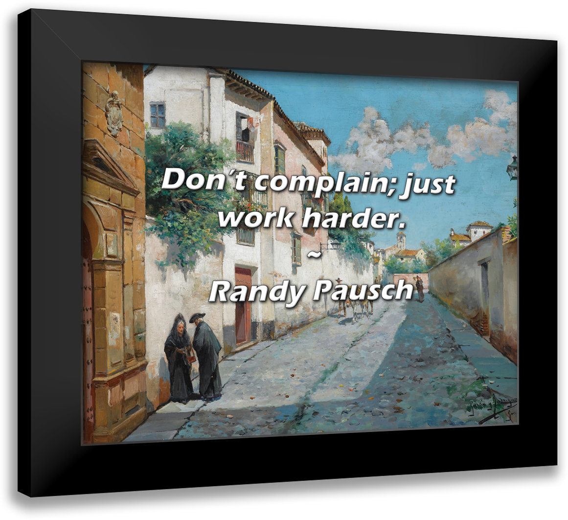 Trinx Randy Pausch Quote: Don’t complain; just work harder. - Wayfair ...