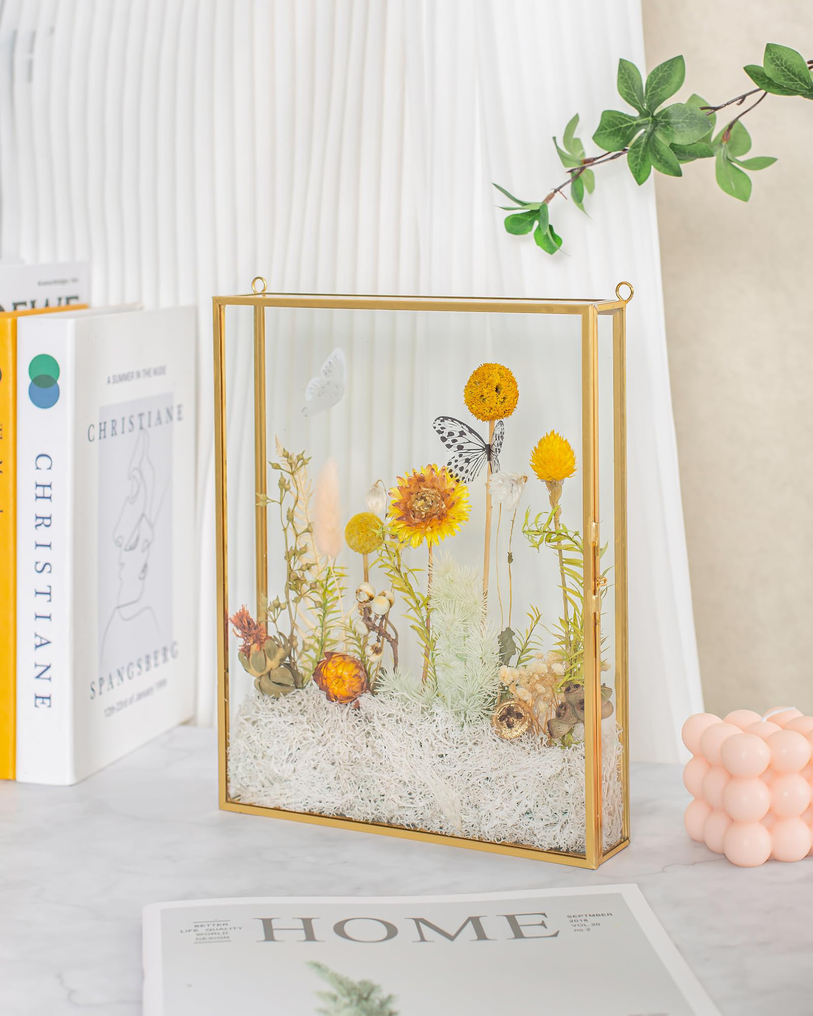 Everly Quinn Shadow Box Frame 8X10, Deep Glass Shadow Box Display Case ...