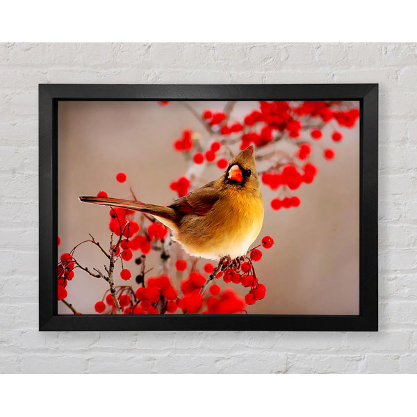 Ebern Designs Garden Bird - Single Picture Frame Print | Wayfair.co.uk