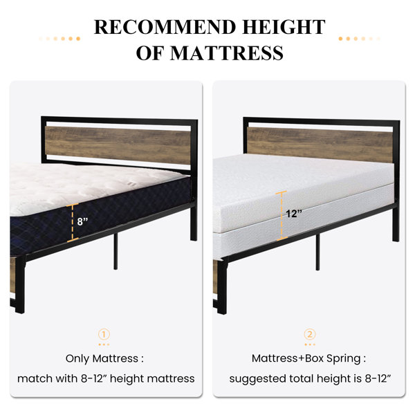 17 Stories Masek Bed & Reviews | Wayfair