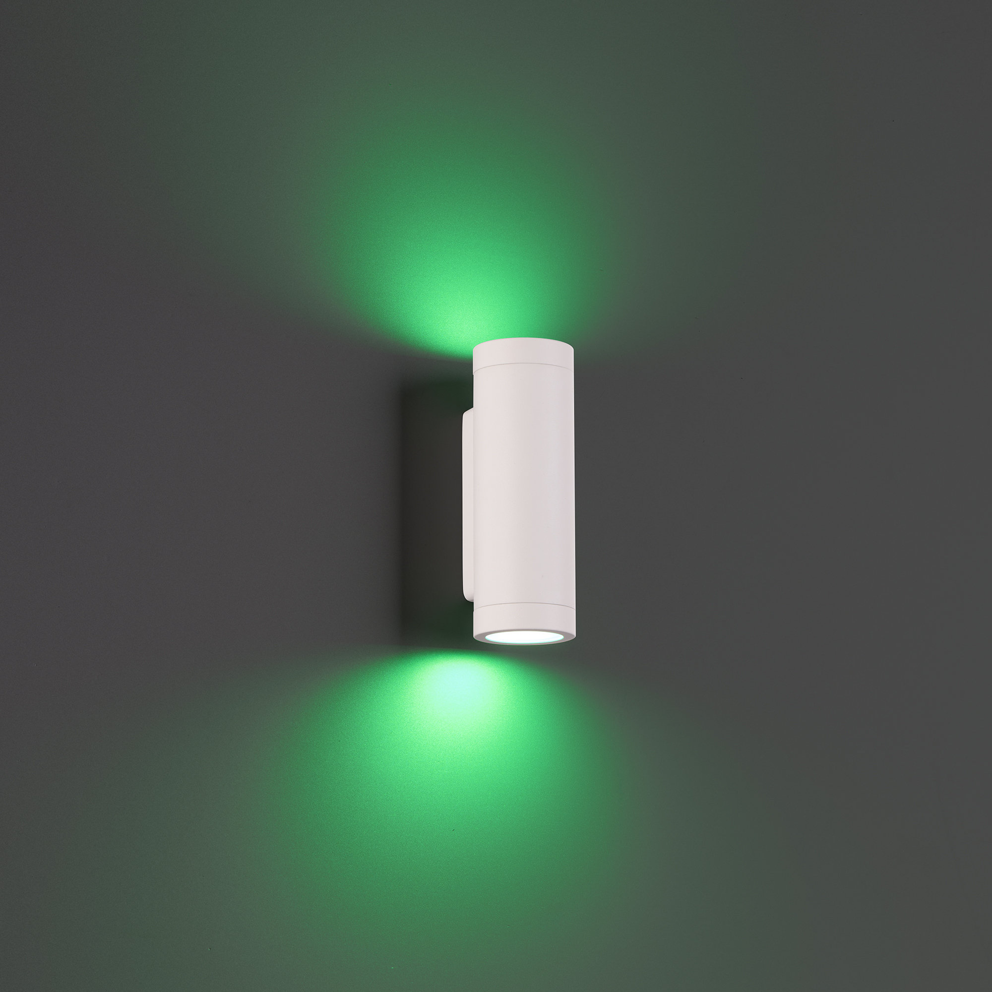 WAC Landscape Lighting WAC LED Colorscaping RGBWW Wall Cylinder | Wayfair