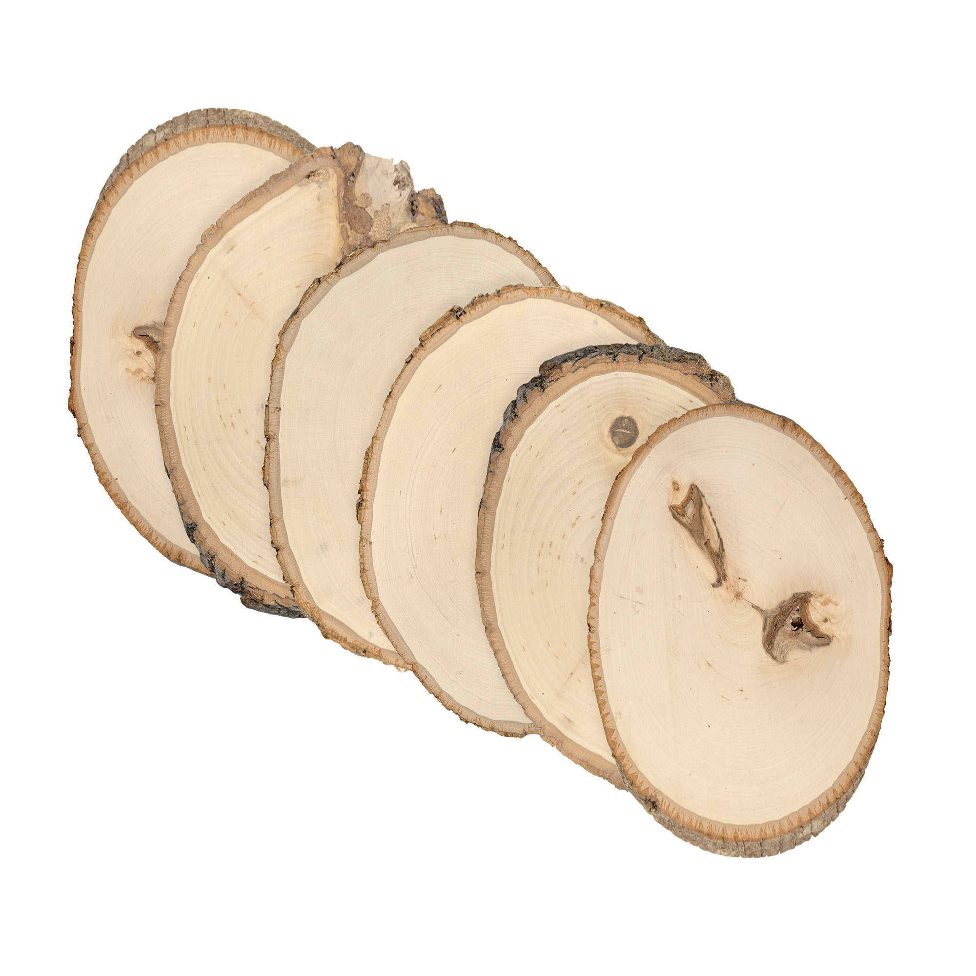 Walnut Hollow Rustic Basswood Rounds, Small | Wayfair