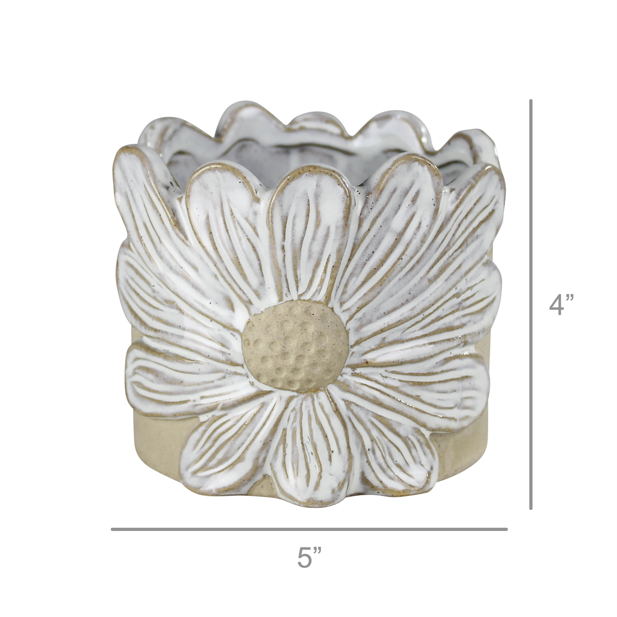 Bungalow Rose Daisy Flower Cachepot | Wayfair