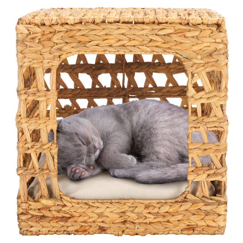 Archie & Oscar™ Ivie Pet Bed & Reviews | Wayfair