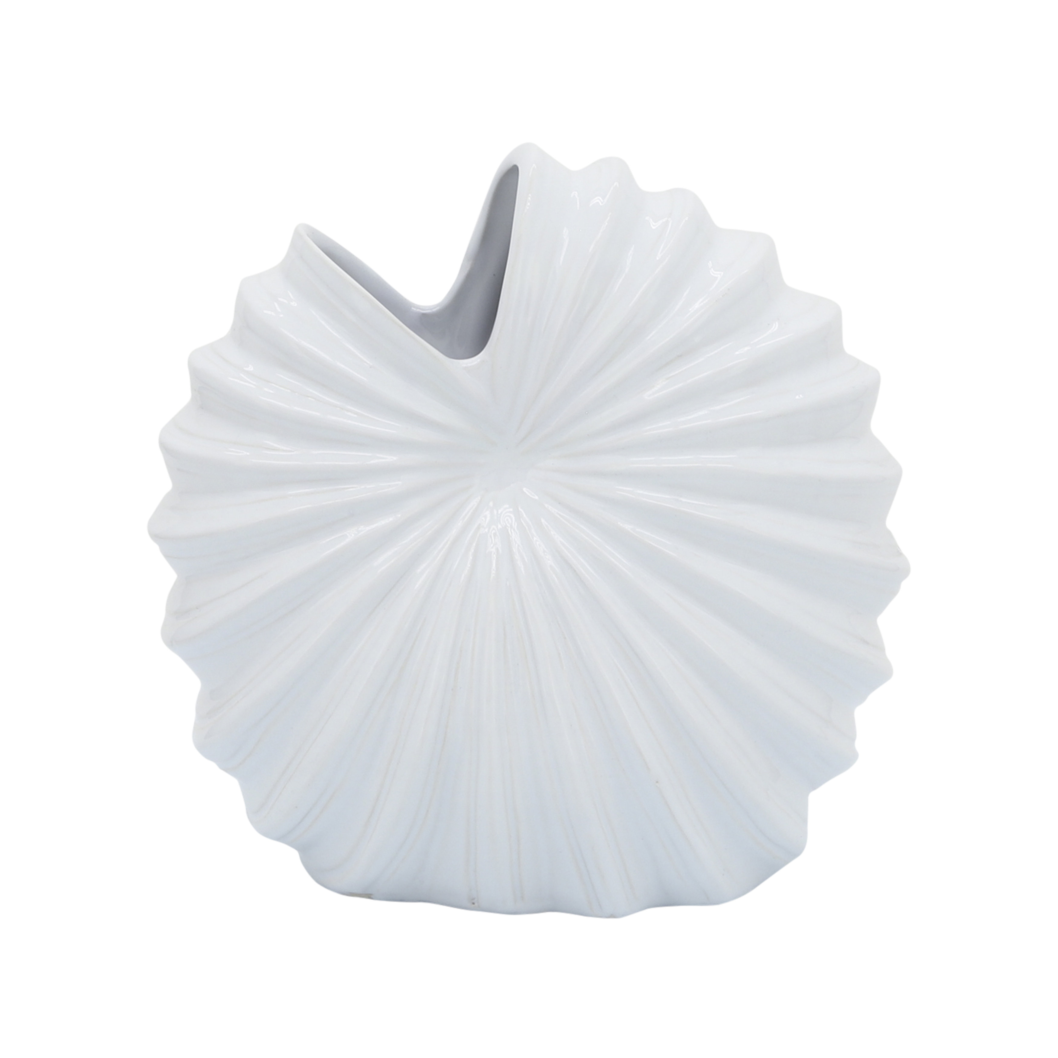 Rosecliff Heights Ceramic Shell Vase, White Finish,Coastal Nautical ...