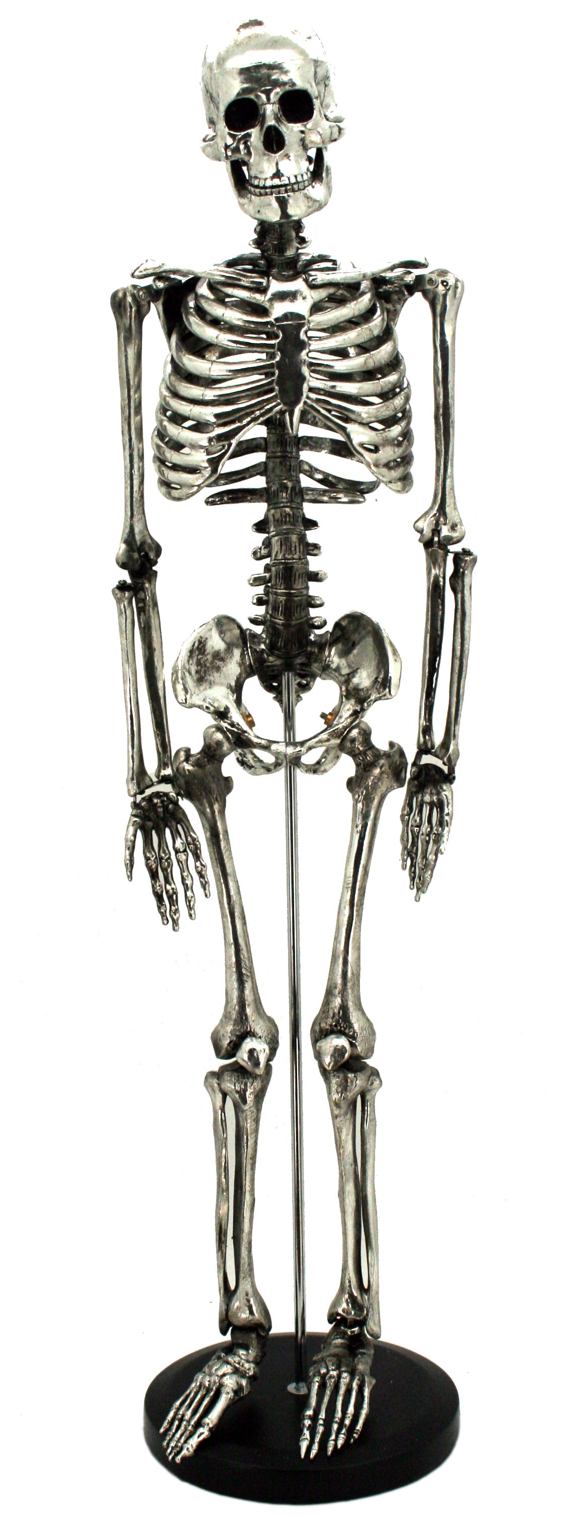 The Holiday Aisle® George the Skeleton | Wayfair