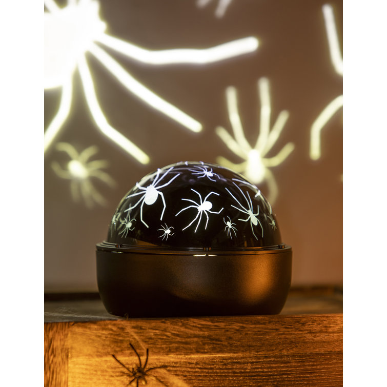 Plow & Hearth Lighted Halloween Spider Projector | Wayfair