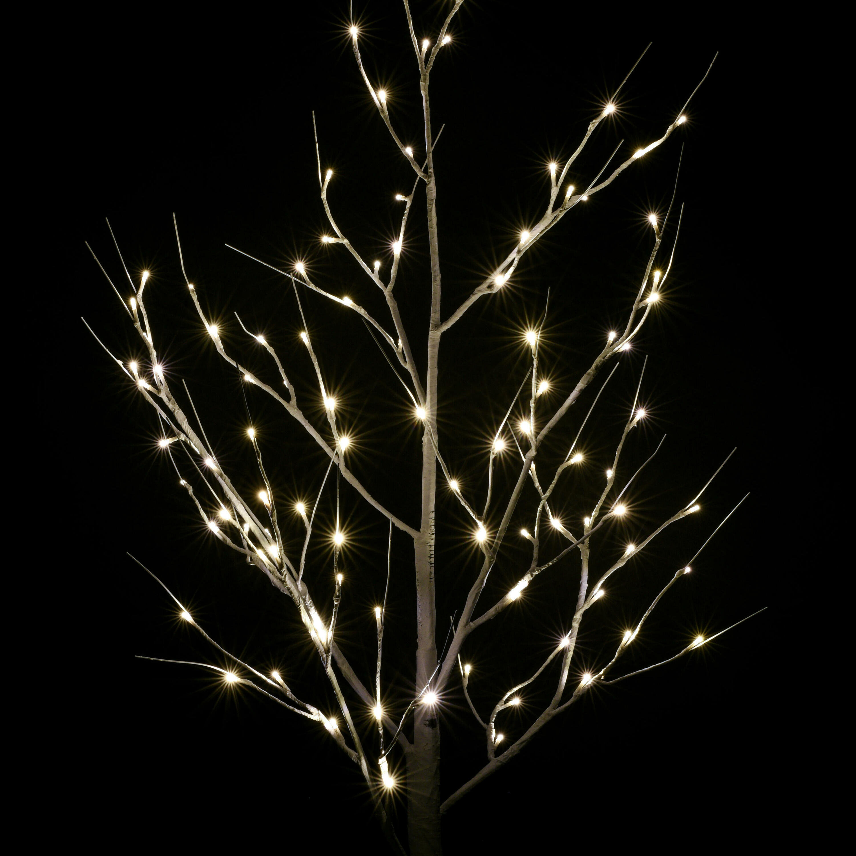 The Holiday Aisle® Vickerman LED White Birch Twig Tree 72' Lighted ...