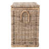 Birch Lane™ Yula Rattan Decorative Storage Trunk with Lid, Tall Size ...