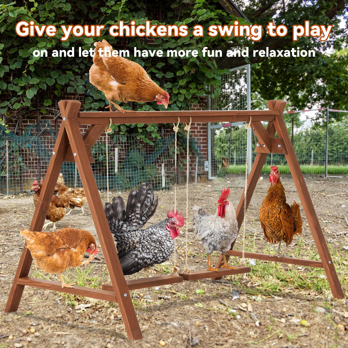 Ophelia & Co. Chicken Perch Pole With 2 Chicken Swings, Suitable For 6 ...