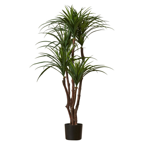 Steelside™ 51" Tropical Yucca Artificial Tree with Natural Trunk and ...