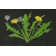 Marlow Home Co. Wild Dandelion I by Melissa Wang - Wrapped Canvas ...