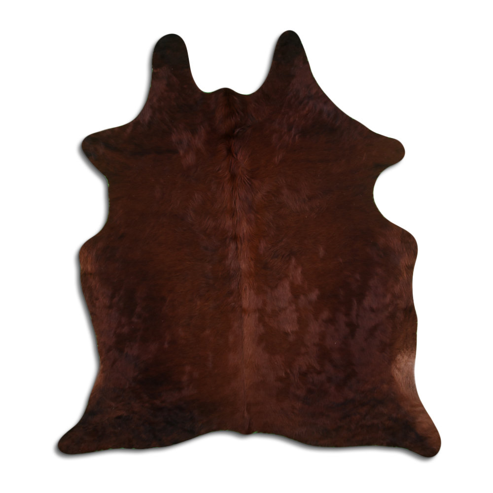 Foundry Select Bernadean Novelty 5' X 7' Area Rug | Wayfair