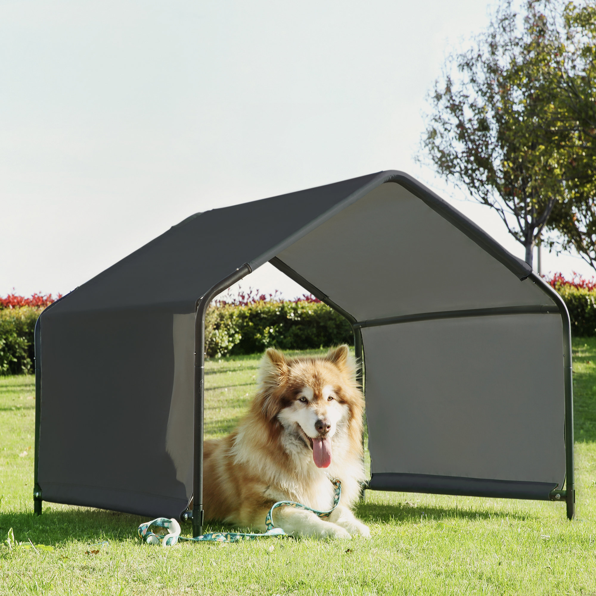 Pet Tent Canopy