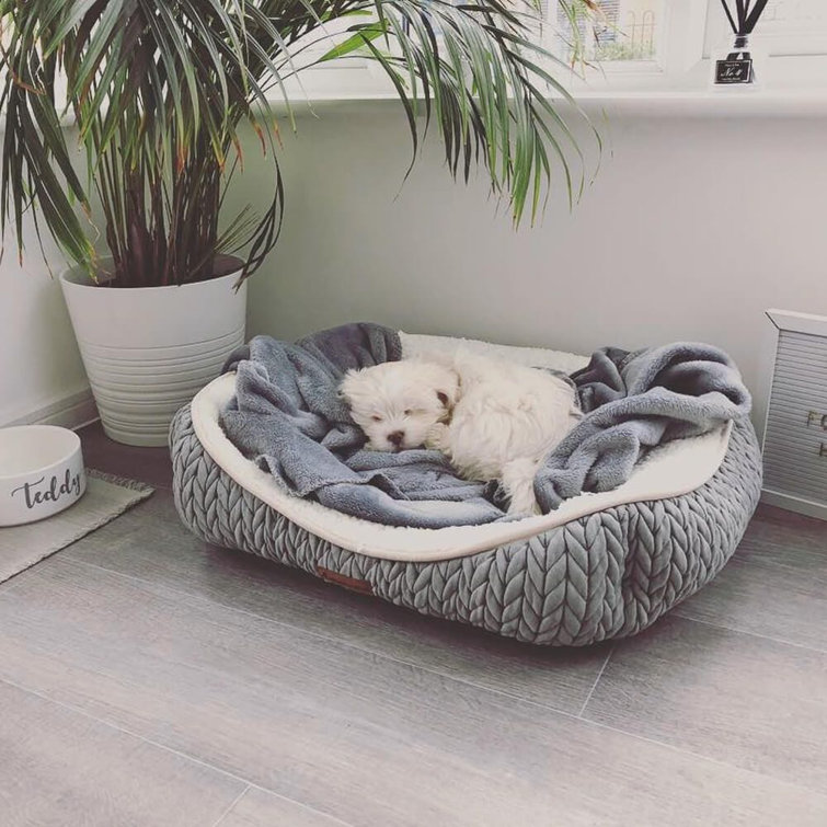 AllPetSolutions Charlie Pet Bed & Reviews | Wayfair.co.uk