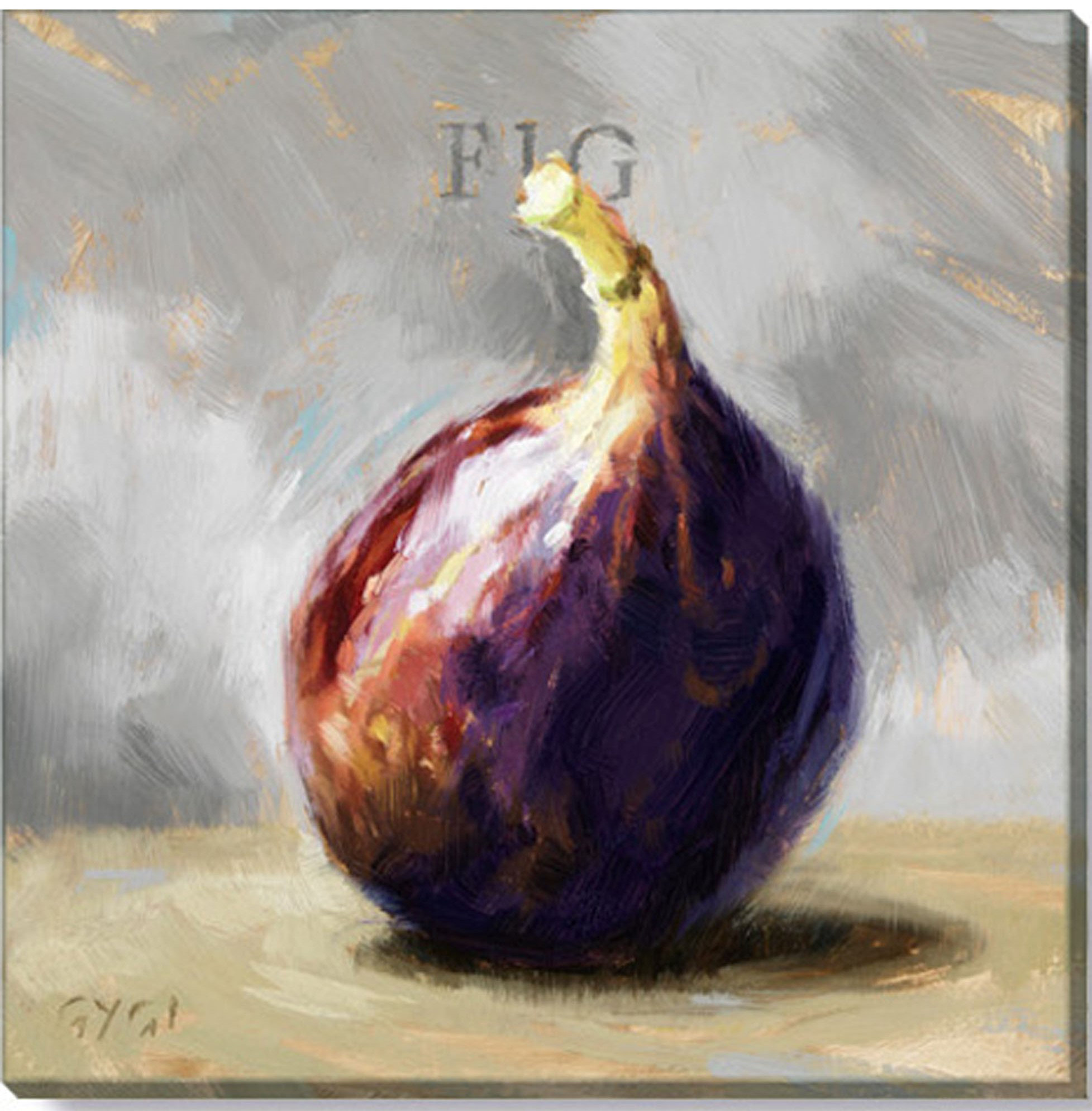 Darren Gygi Home Collection Fig Giclee On Canvas by Darren Gygi ...