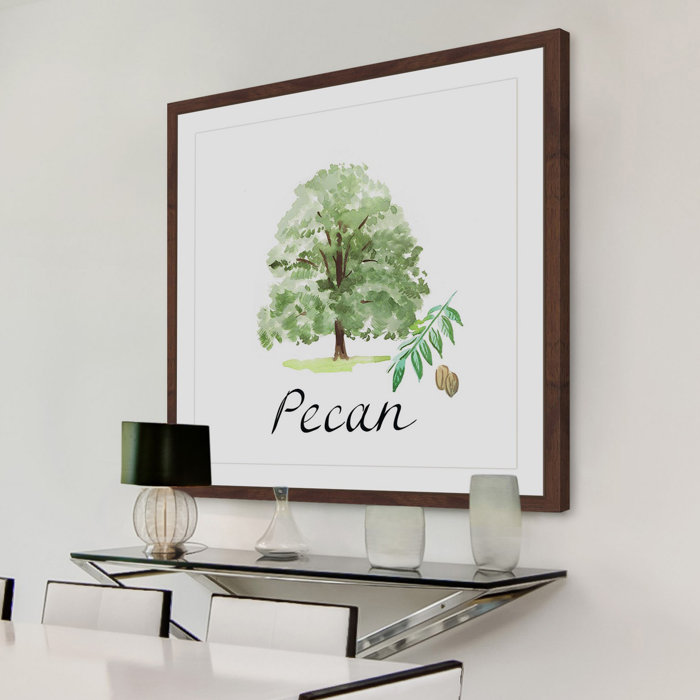 Red Barrel Studio® Pecan Tree Framed On Paper Print | Wayfair
