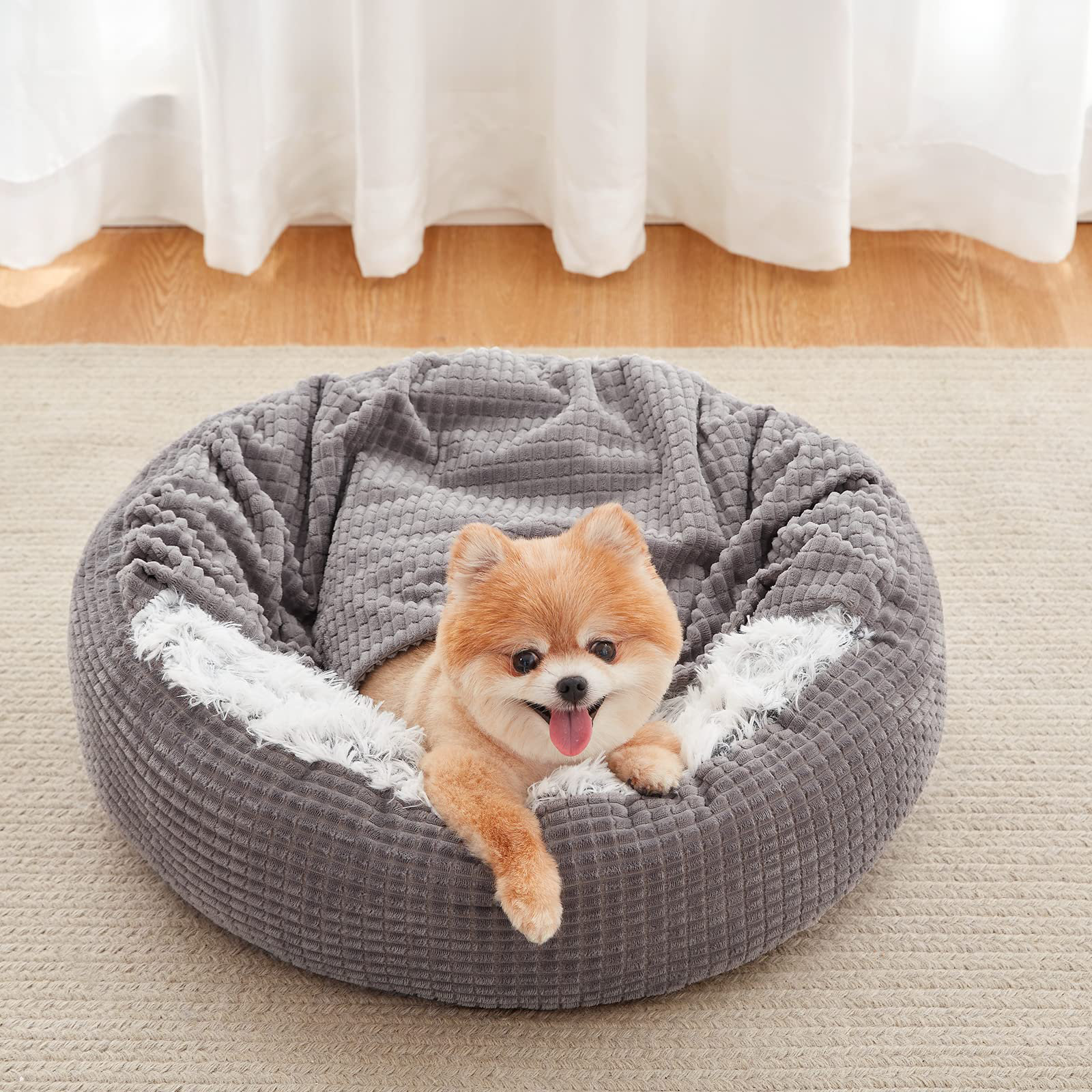 Archie & Oscar™ Small Dog Bed With Blanket Attached, Round Calming ...