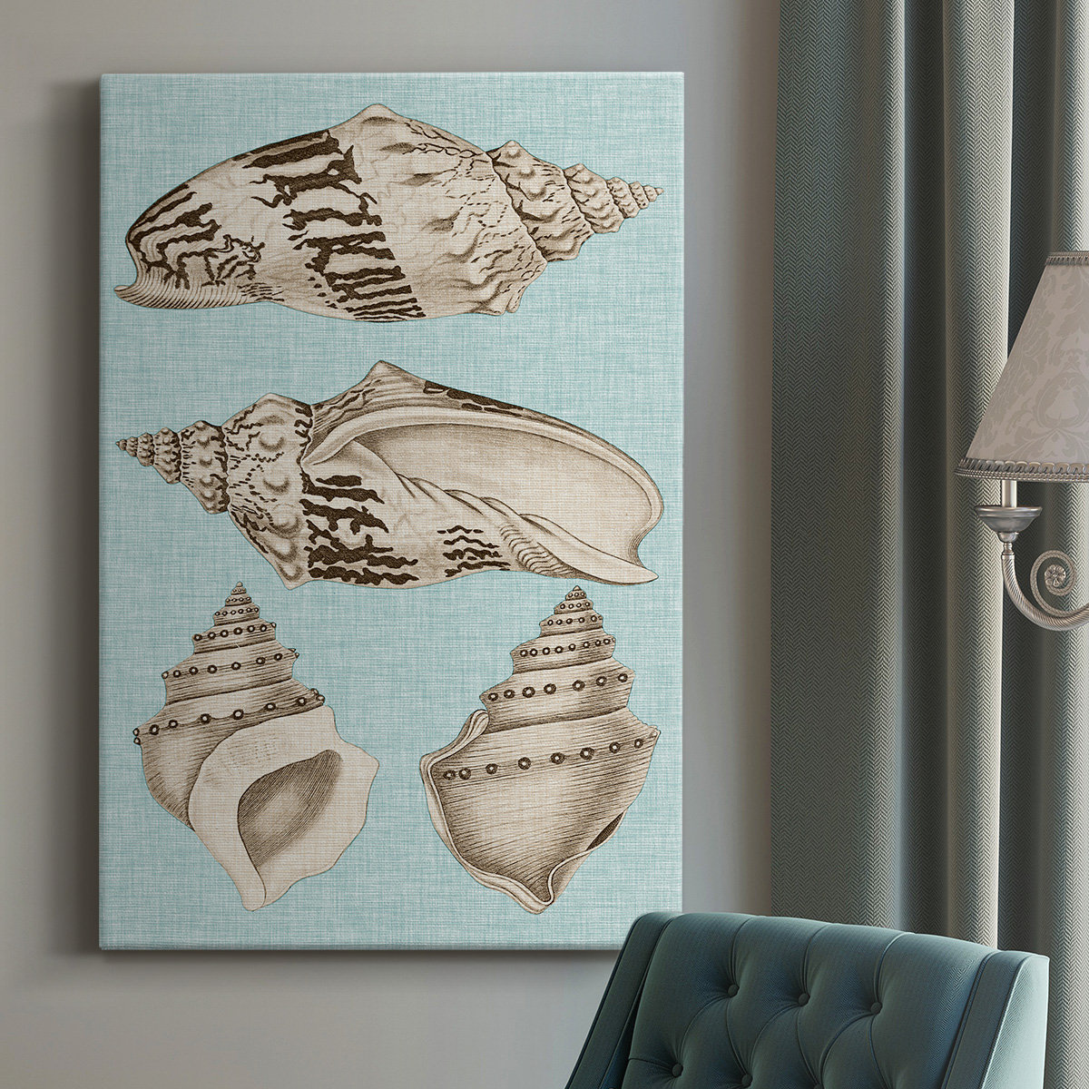 Dovecove Sepia & Aqua Shells IV - Wrapped Canvas Painting | Wayfair