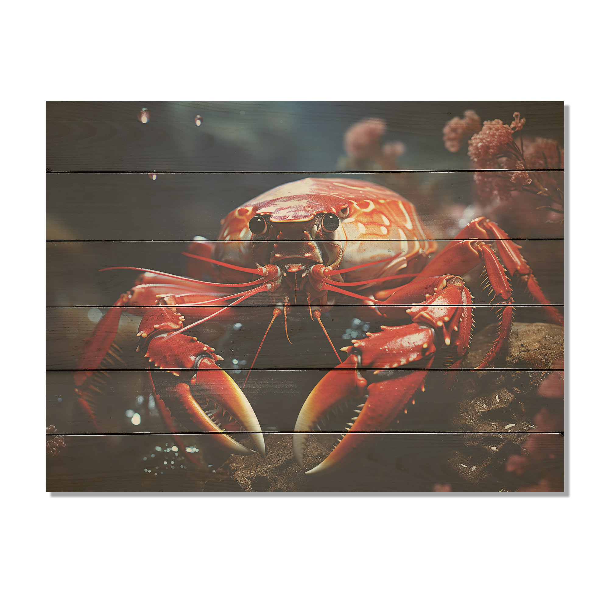 Beachcrest Home™ Modern Red Mantis Shrimp I - Coastal Coral Under Water ...