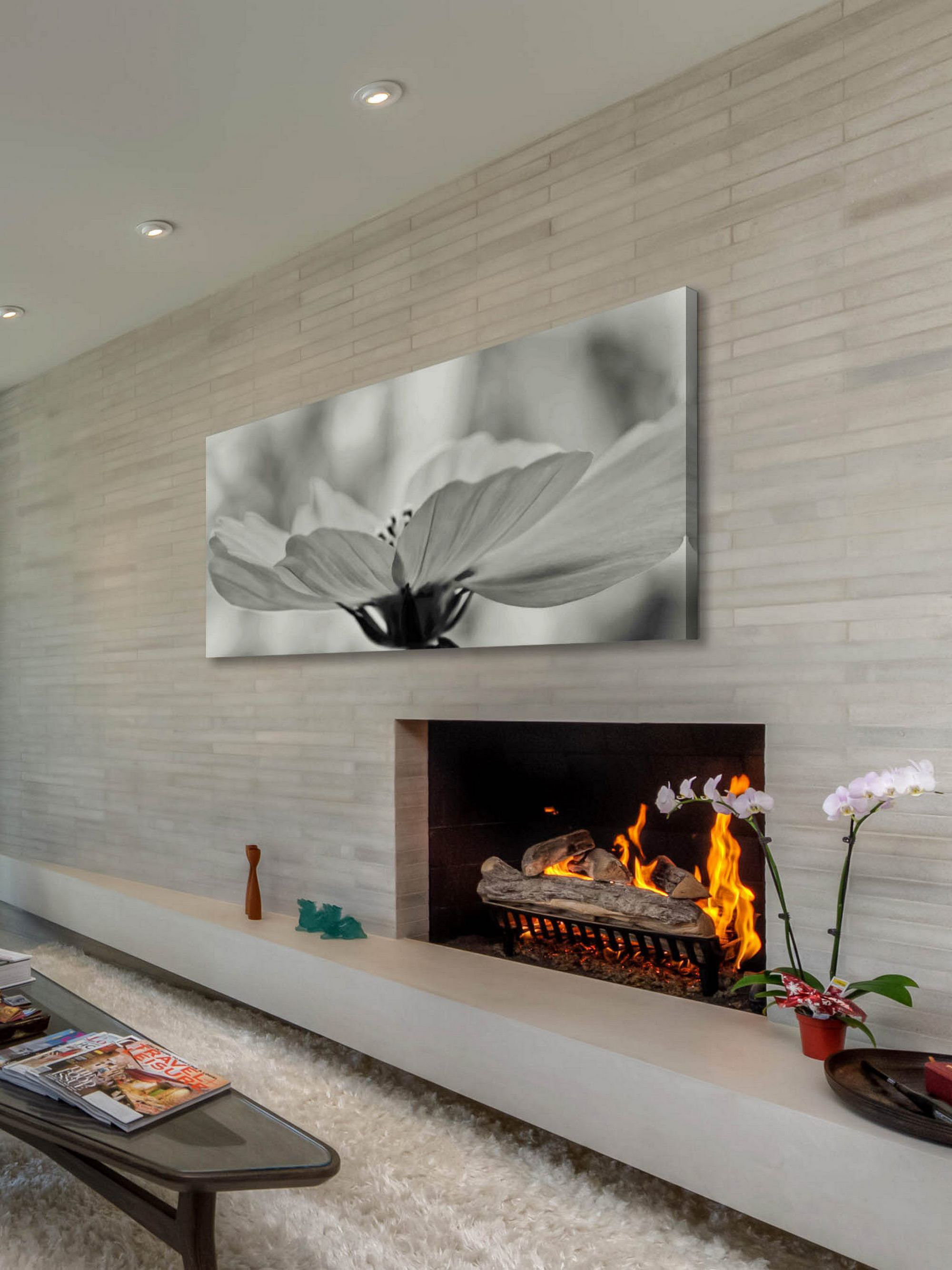Marmont Hill 'Delicate Cosmos' by Don Schwartz Painting Print on ...