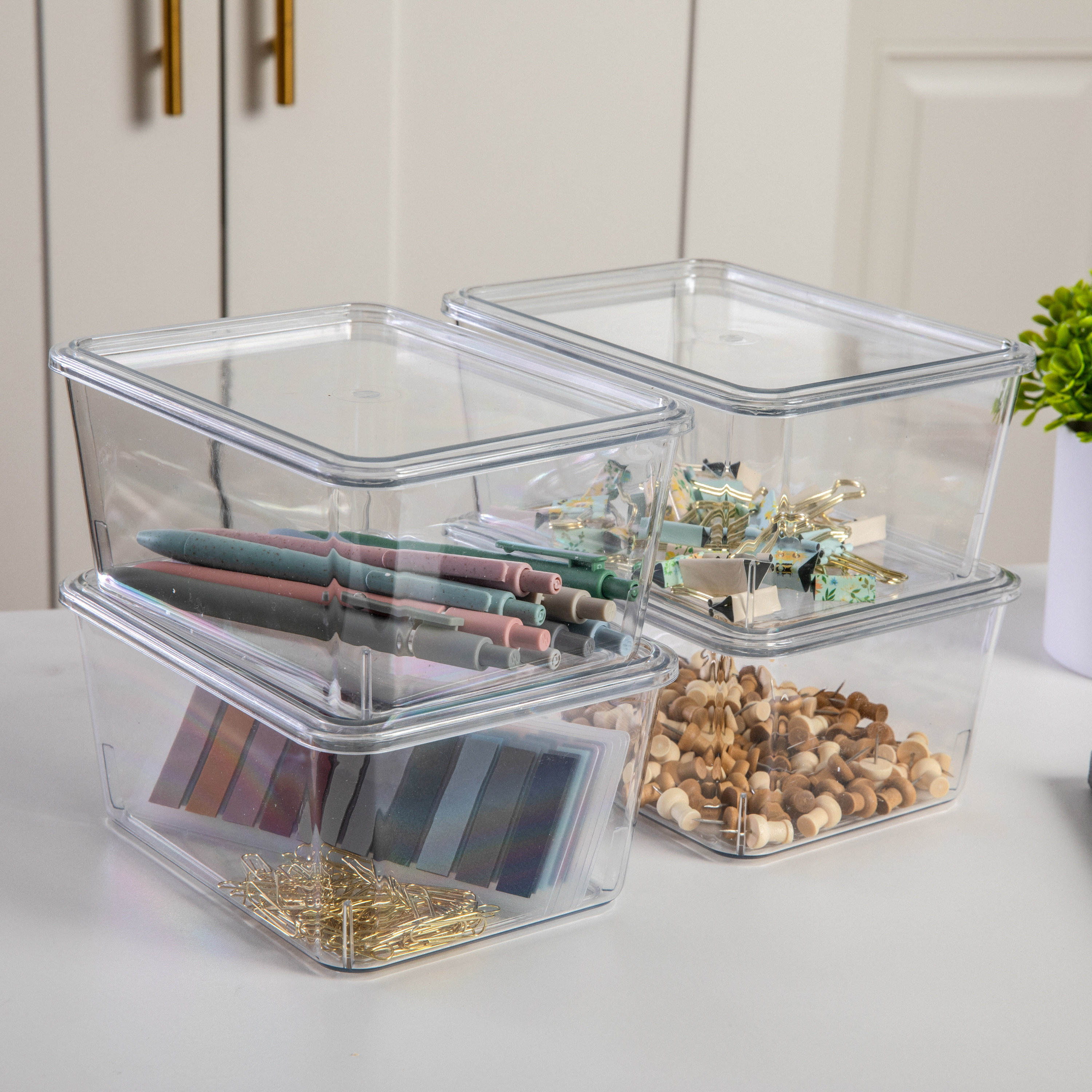 Martha Stewart Brody Premium Plastic Storage Bins With Lids & Reviews ...