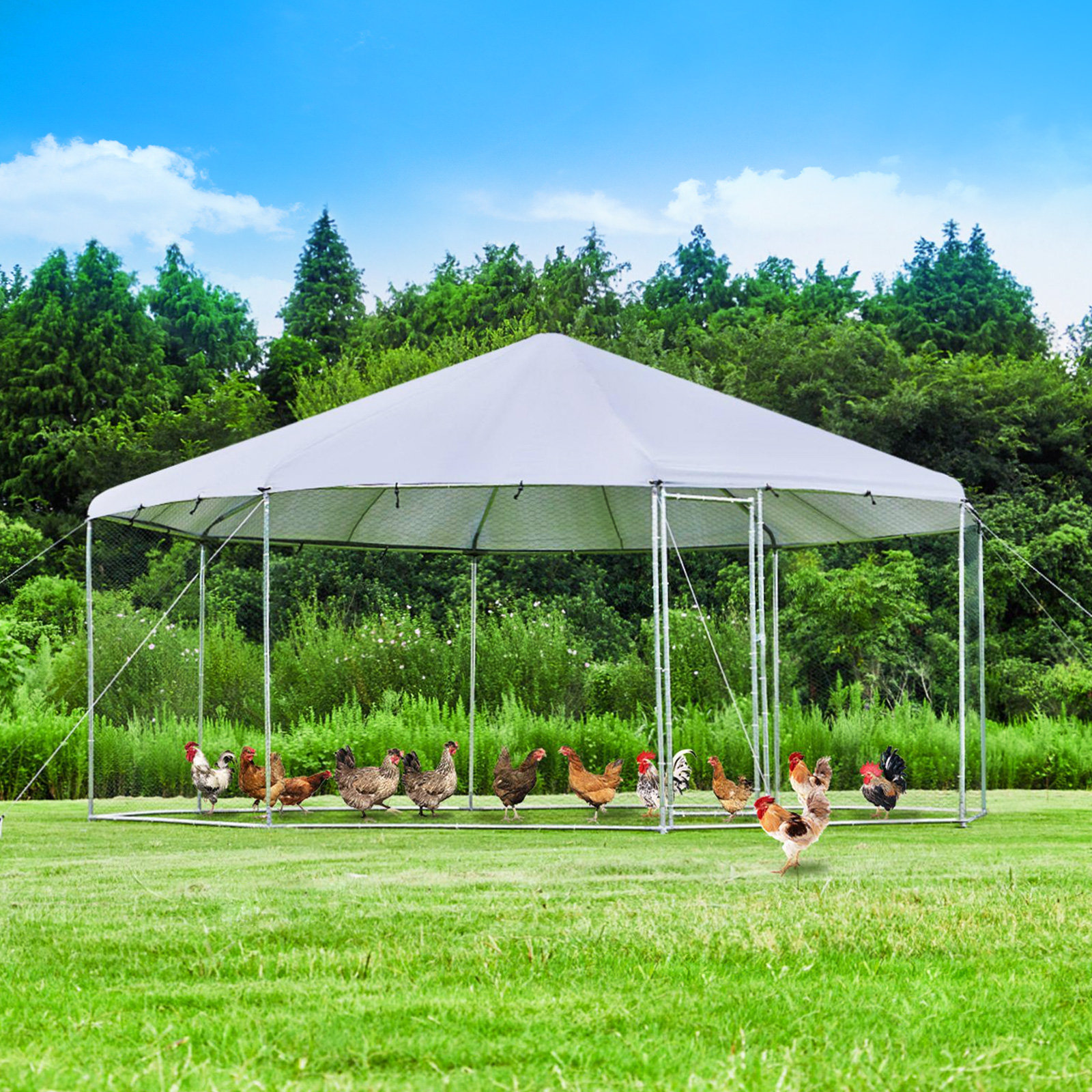 Arlmont & Co. Tency Large Chicken Coop Metal Chicken Run for Chickens ...