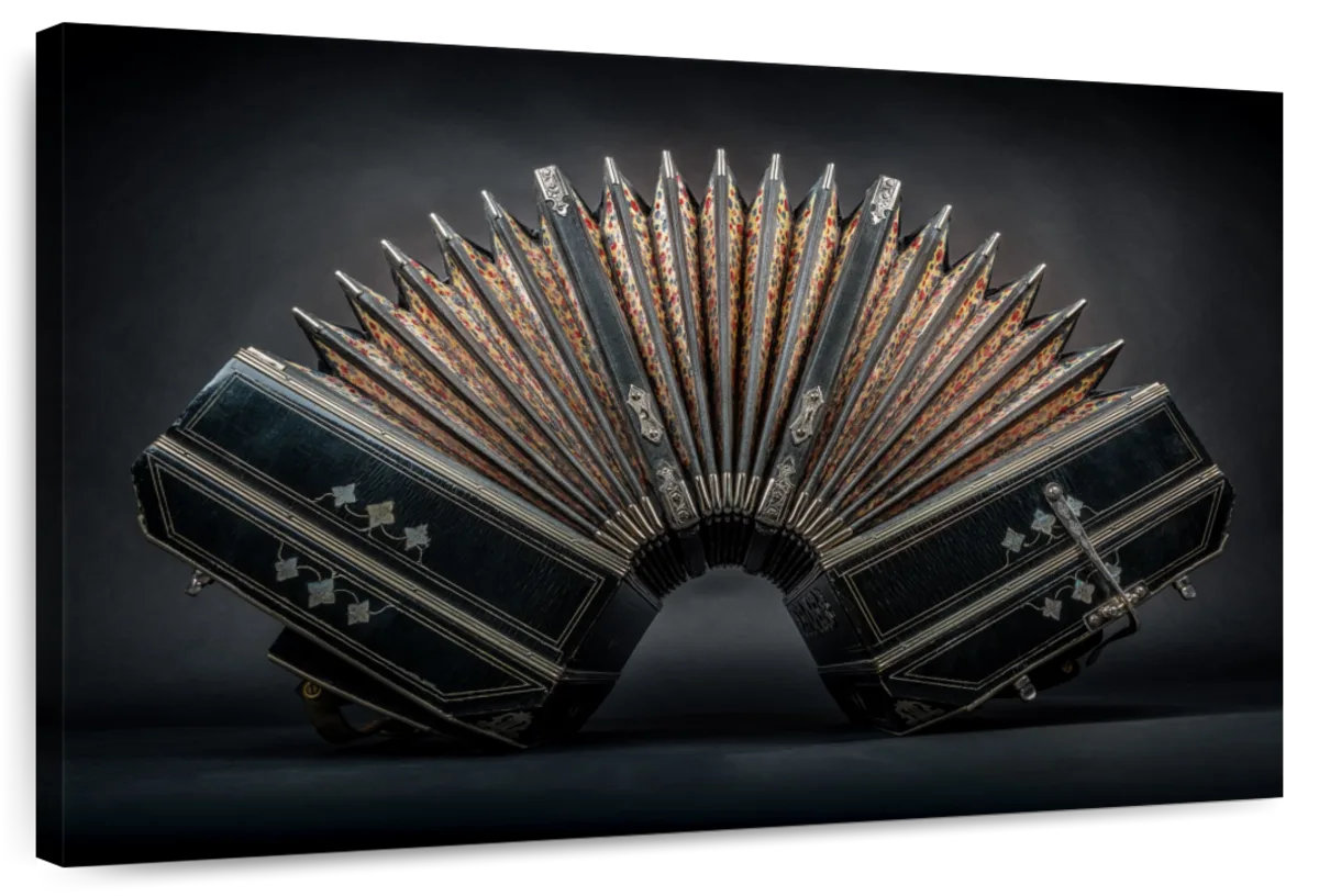 Ebern Designs Abarca Bandoneon Instrument | Wayfair