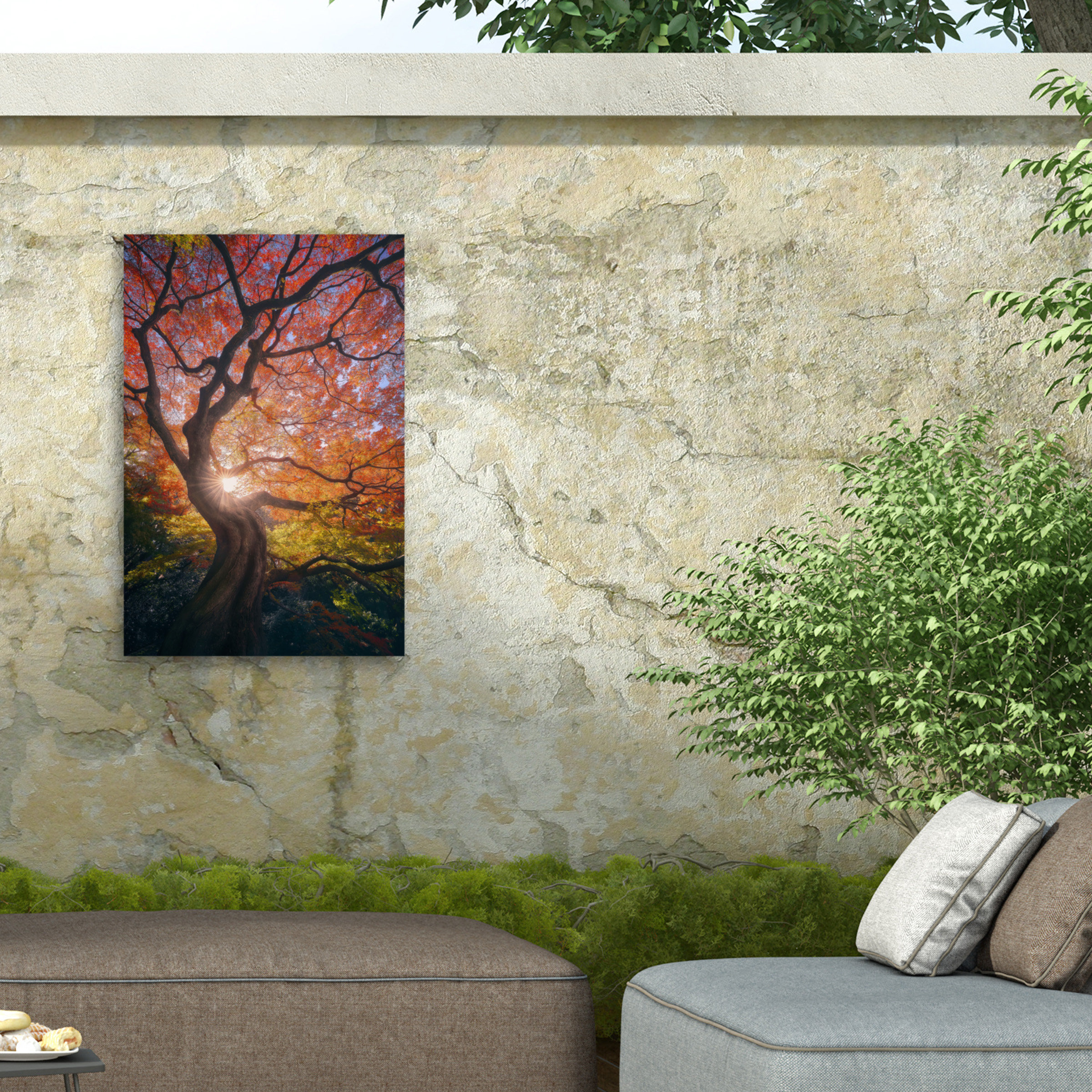 Winston Porter Javier De La The Japanese Tree Outdoor Canvas | Wayfair