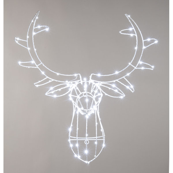 Stag Head Christmas Lights | Wayfair.co.uk