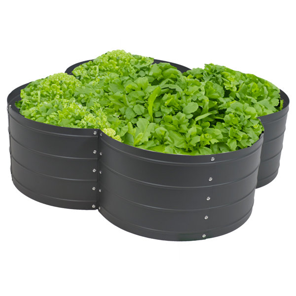 Arlmont & Co. Rotisha Outdoor 4-Leaf Clover Galvanized Steel Raised ...