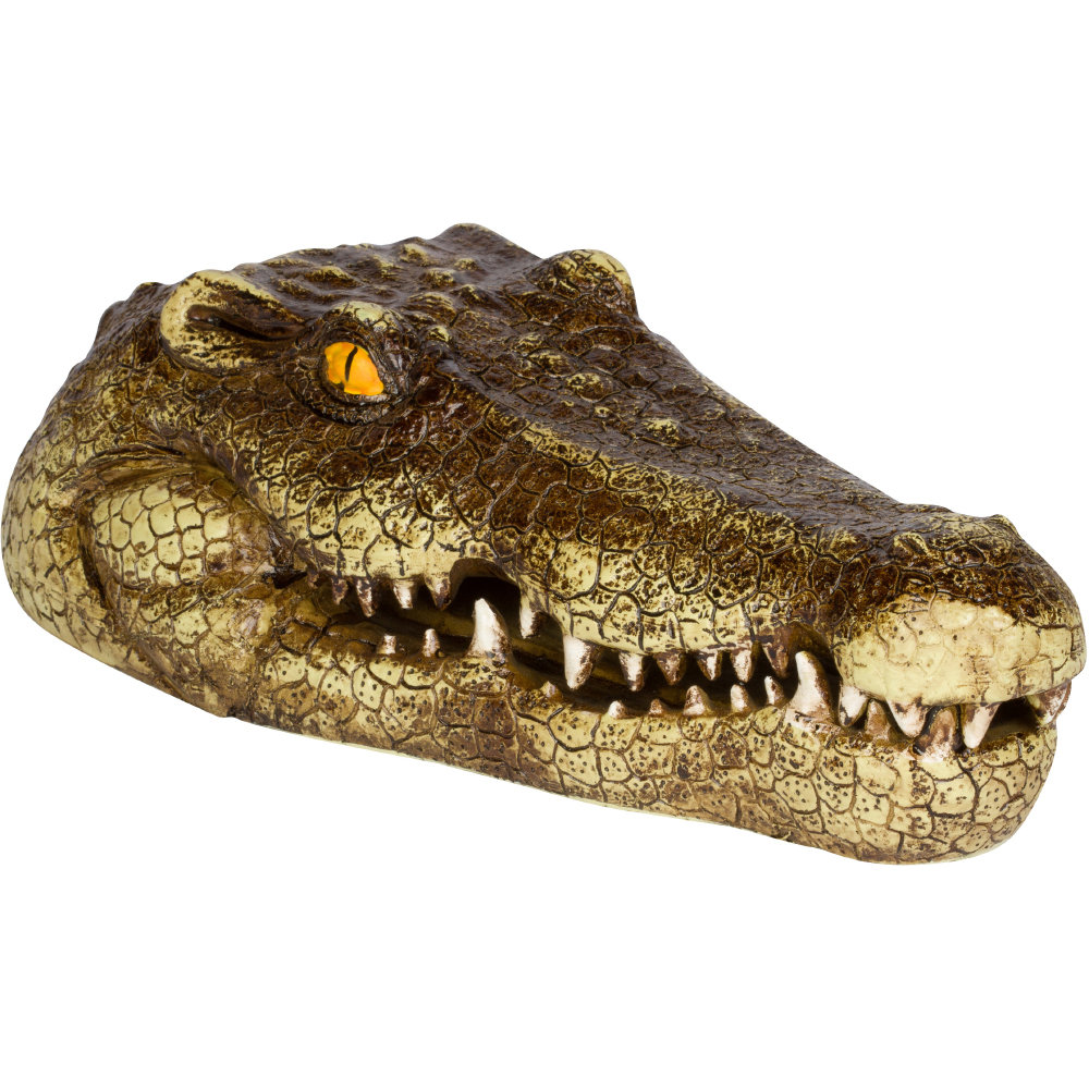 Trinx Knott Fake Alligator Head | Wayfair